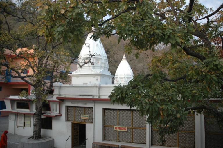 The Divine Life Society » Around the Ashram – Image Gallery